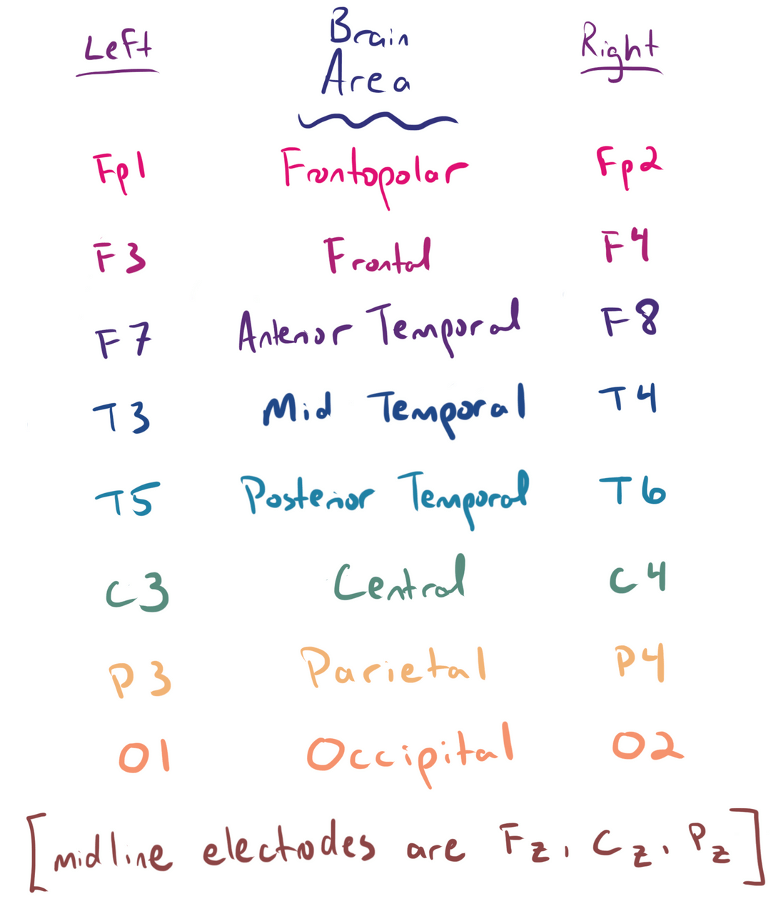 EEG Montages and Technical Components